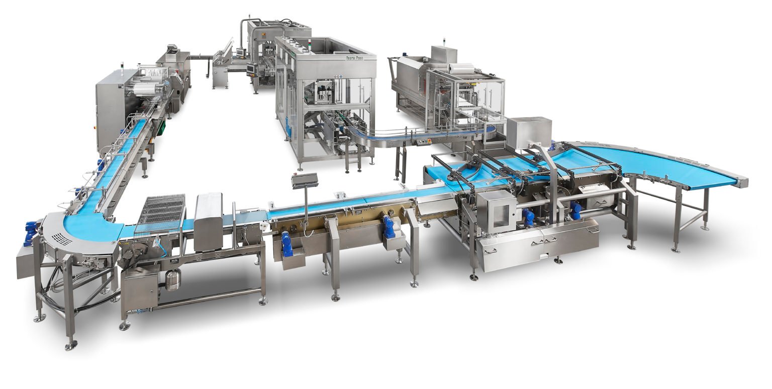 TECNO PACK: DEVELOPMENT AND STRATEGY TO REACH NEW GOALS - Packaging ...